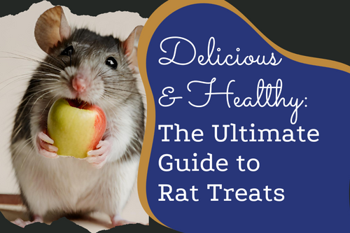 Delicious Healthy The Ultimate Guide to Rat Treats